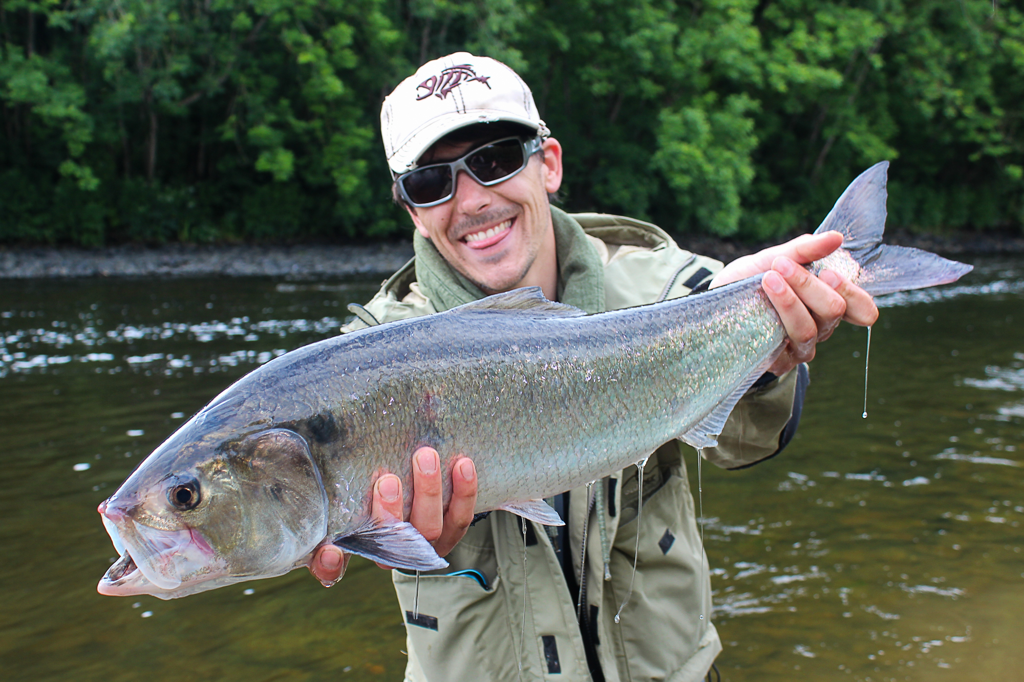 "Big Fish" : qu'est ce que c'est