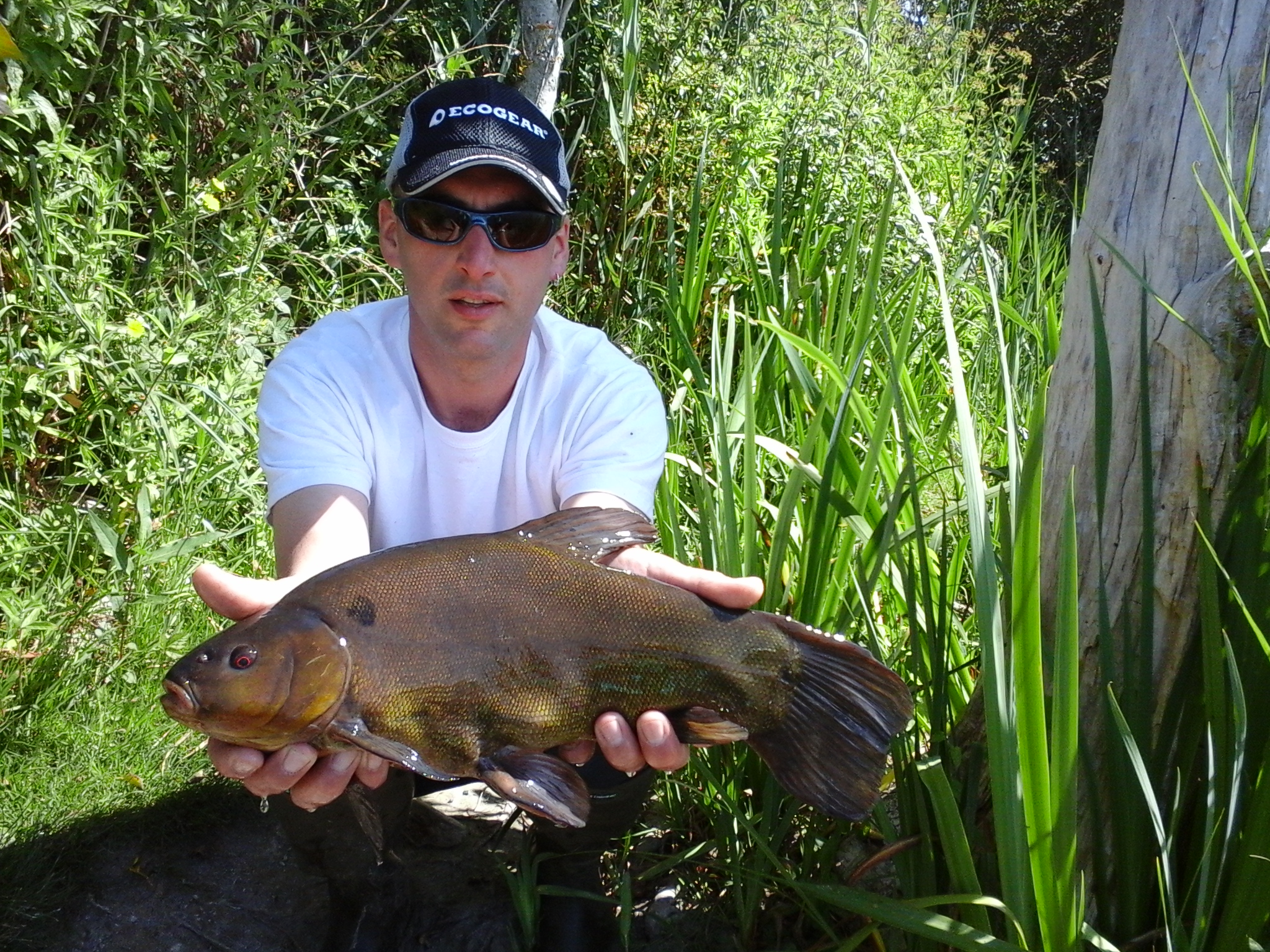 "Big Fish" : qu'est ce que c'est